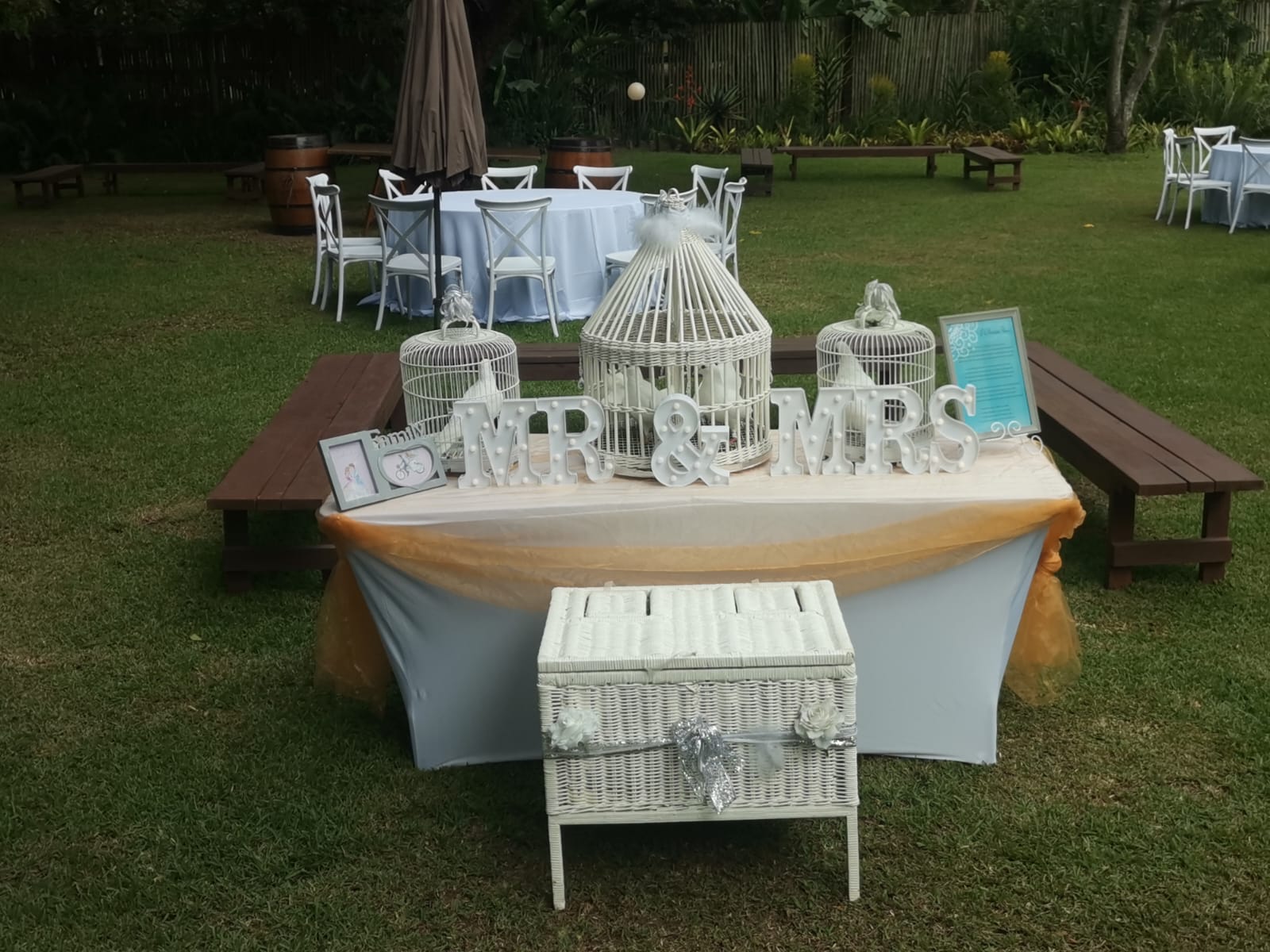 Elegant Dove Displays & Releases for Weddings, Funerals, and Special ...