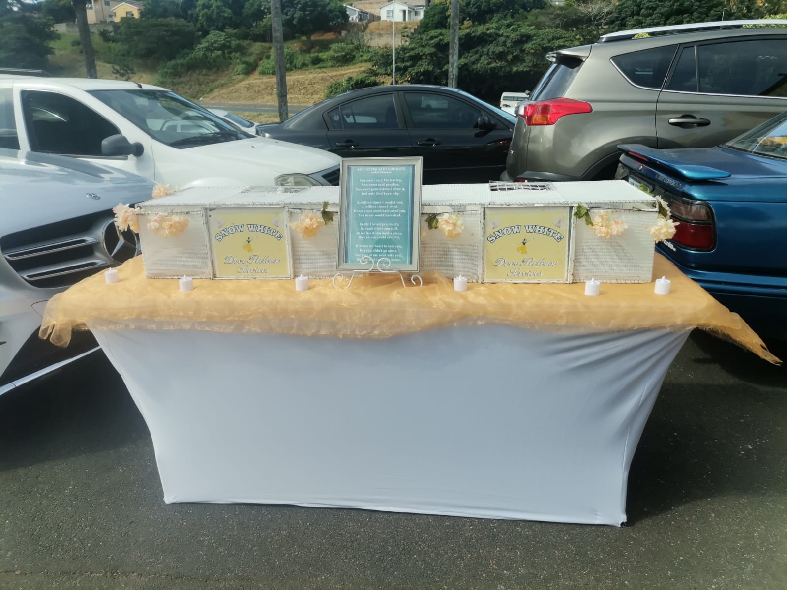 Elegant Dove Displays & Releases for Weddings, Funerals, and Special ...